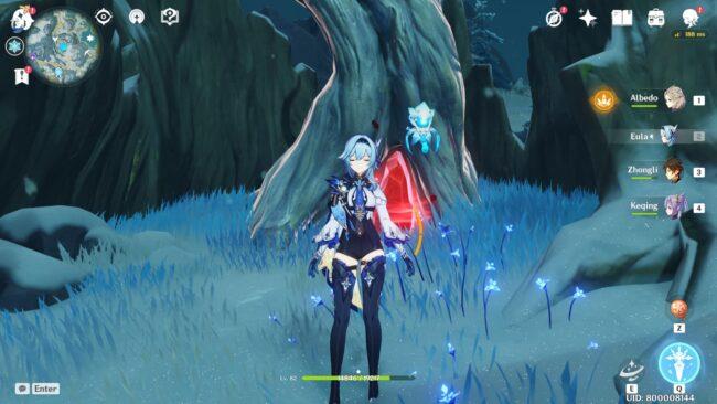 Genshin Impact Untersuchen Sie den Strange Ice Guide - GameZis